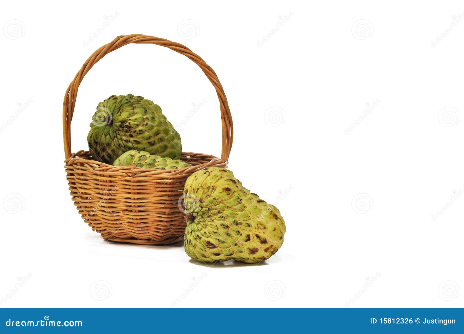 Custard apple stock photo. Image of apple, isolated, custard - 15812326