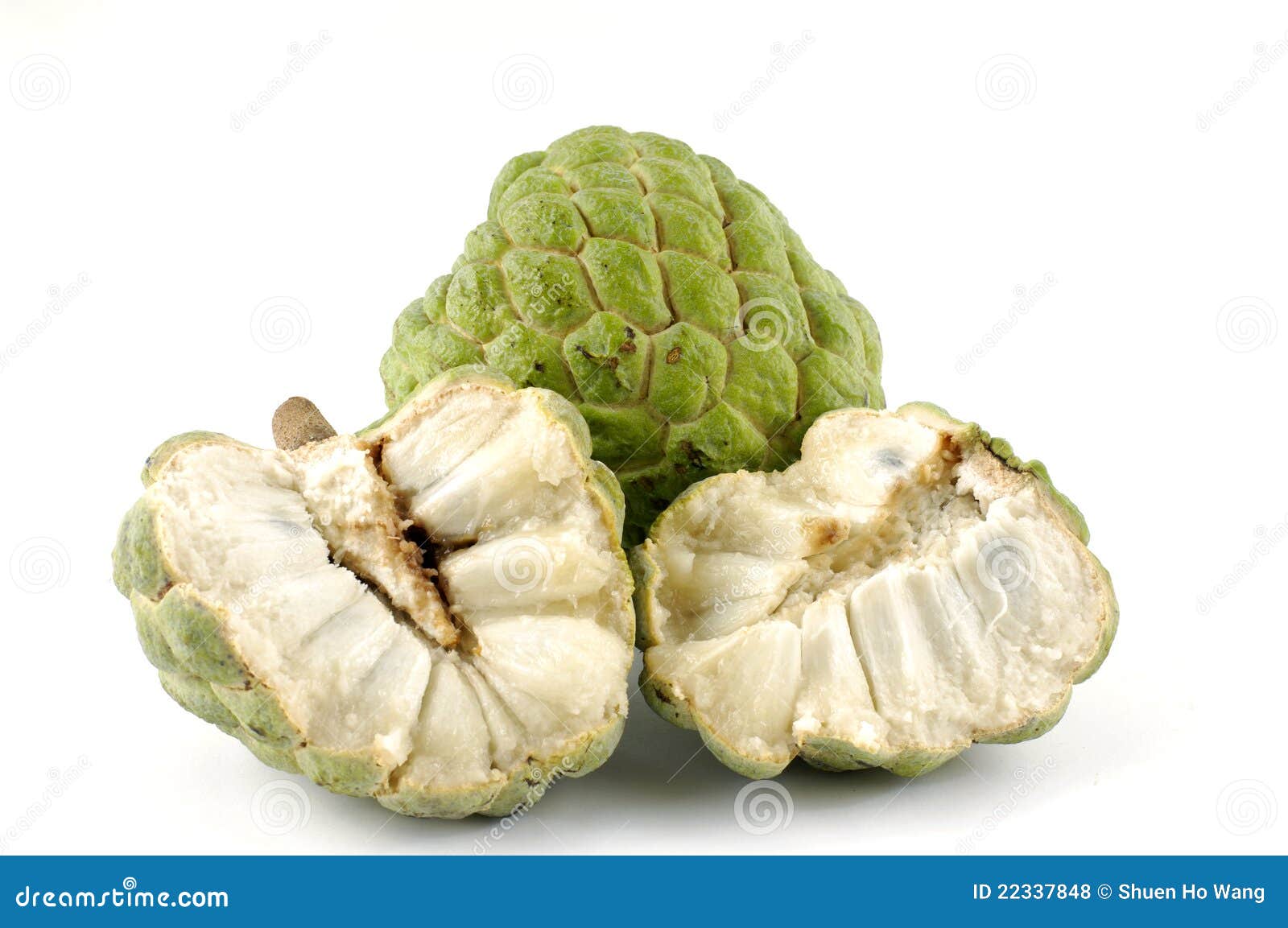 Custard apple stock photo. Image of fruit, exotic, life - 22337848