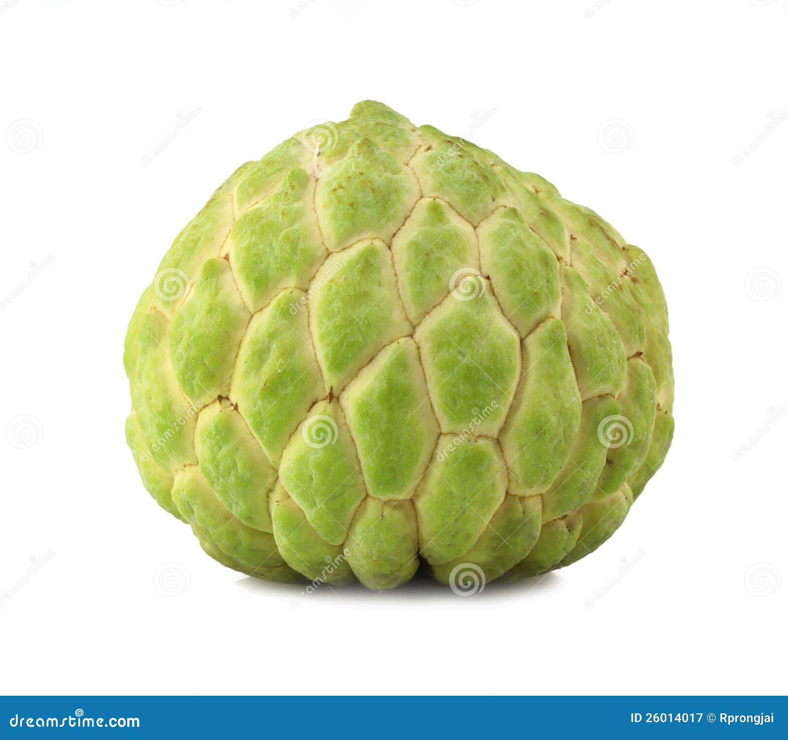 Custard apple stock image. Image of delicious, jelly - 26014017