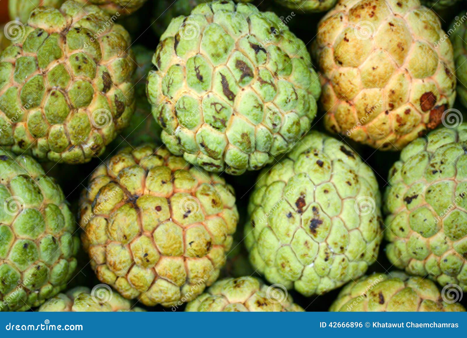 Custard apple stock photo. Image of taste, background - 42666896