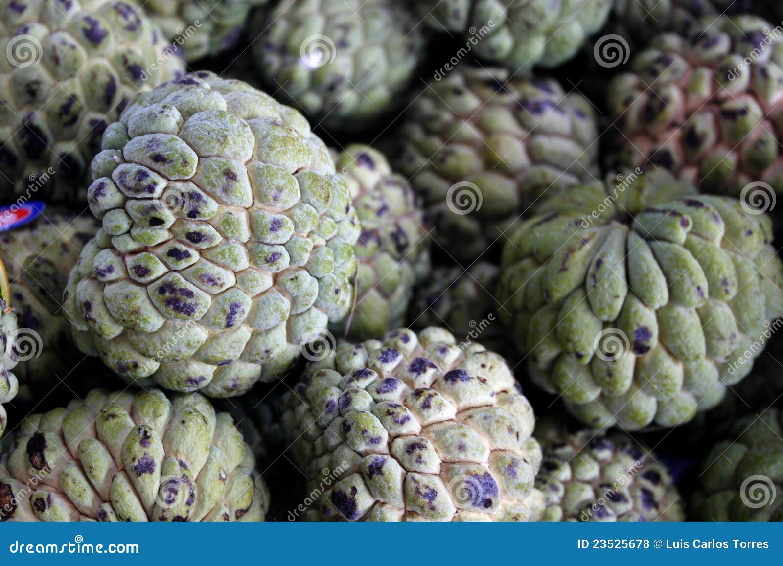Custard Apple (Fruta-do-conde) Stock Photo - Image of orange, fruta ...