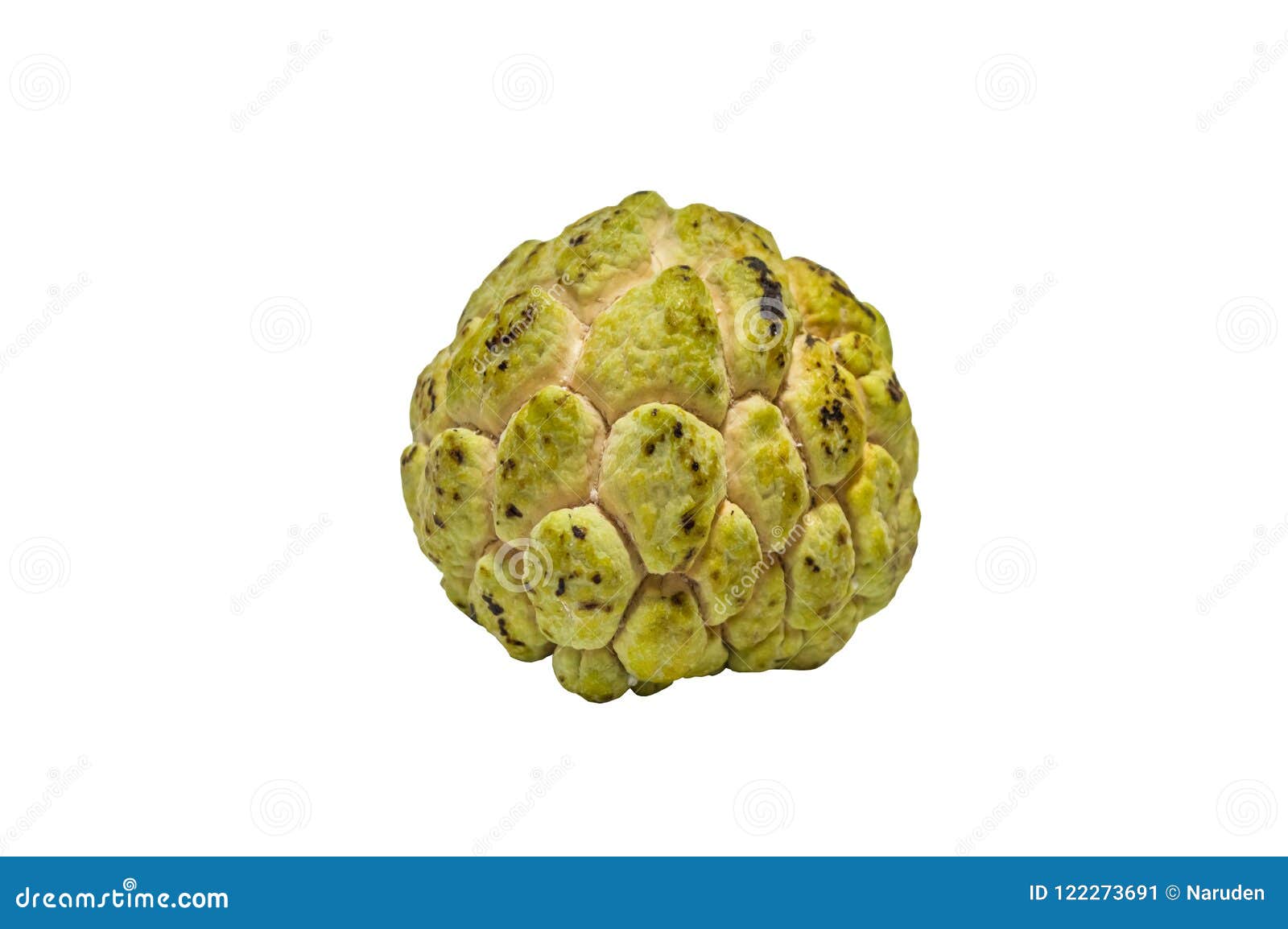 Custard apple isolated stock image. Image of fruit, path - 122273691