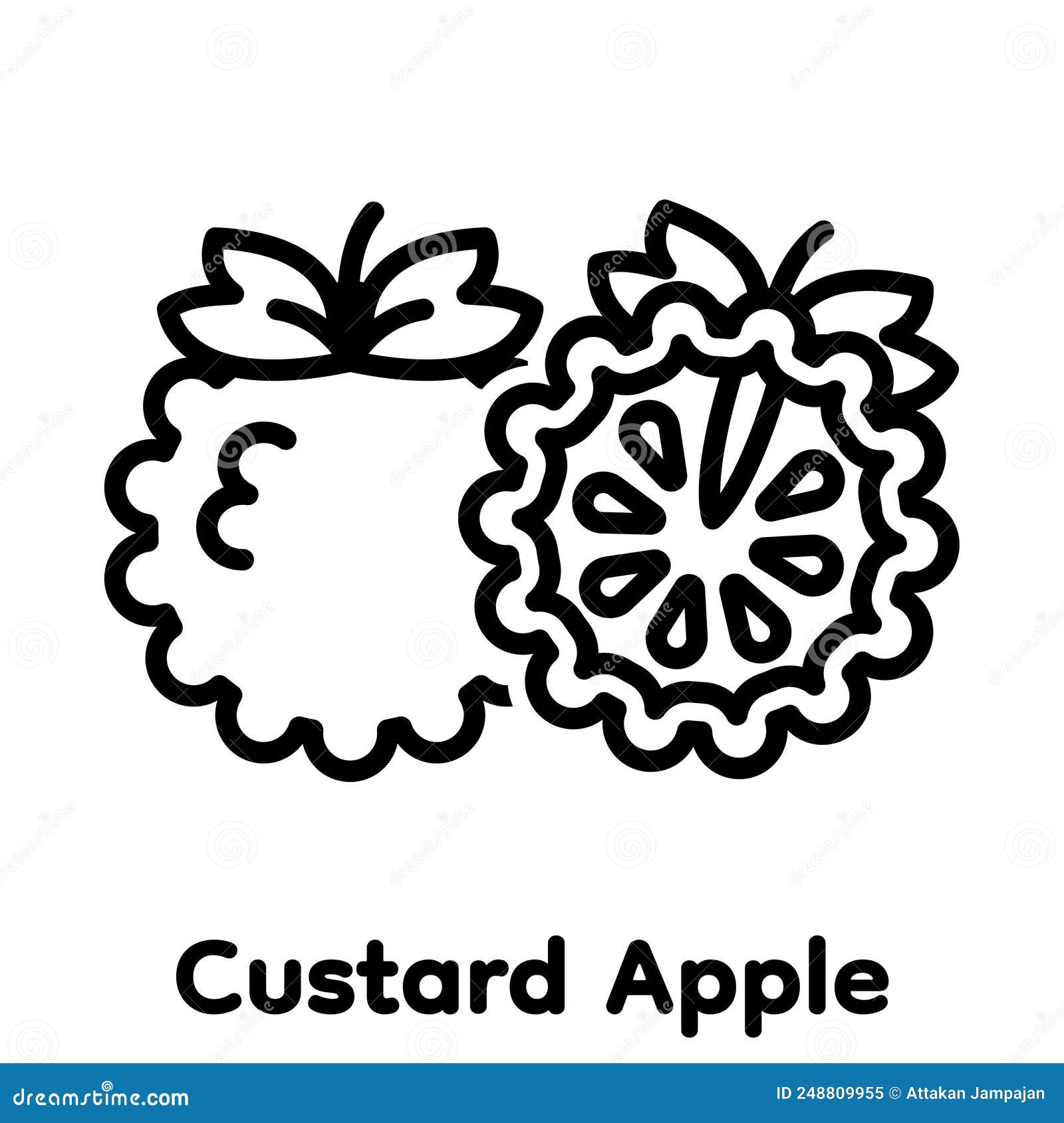 Custard Apple Linear Icon, Vector, Illustration. Stock Vector ...