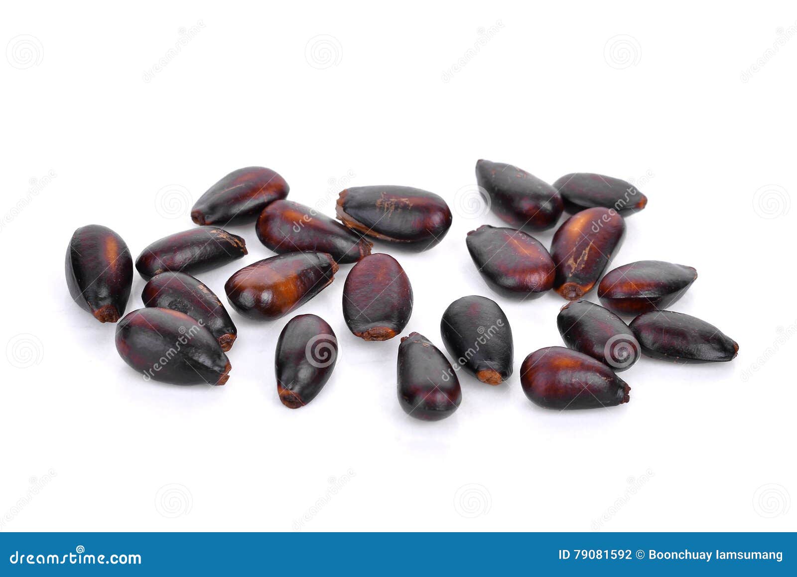 Custard Apple Seed Isolated on White Stock Photo - Image of farm ...