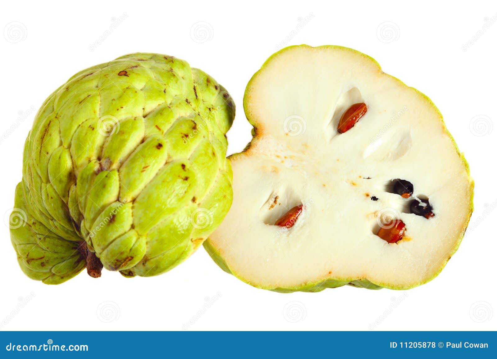 Custard Apple Sliced in Half Stock Photo - Image of apple, asian: 11205878