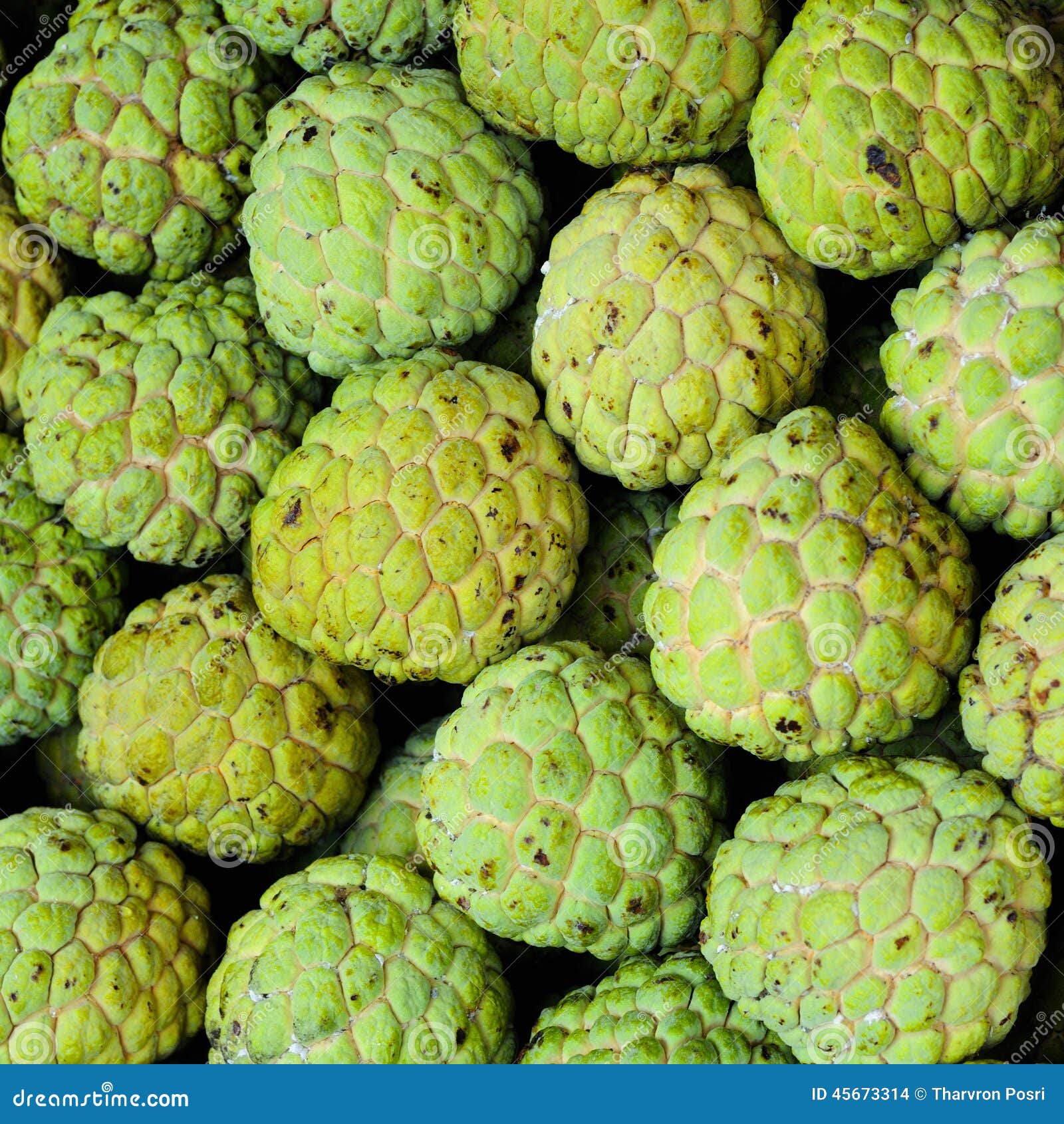 New Apple Texture Stock Photography | CartoonDealer.com #116844434