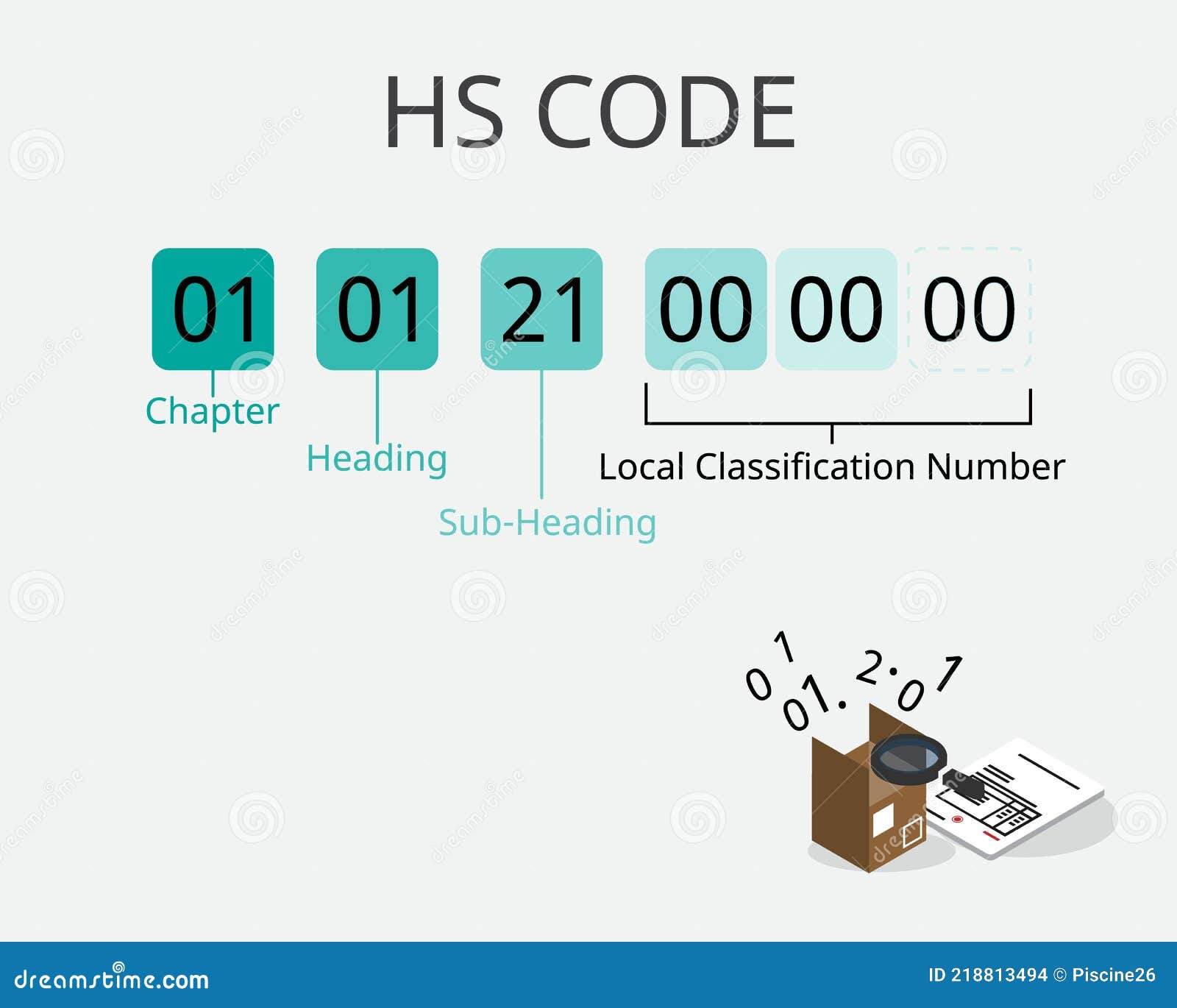 Custom Clearance To Check the Shipment and HS Code or Harmonized System ...