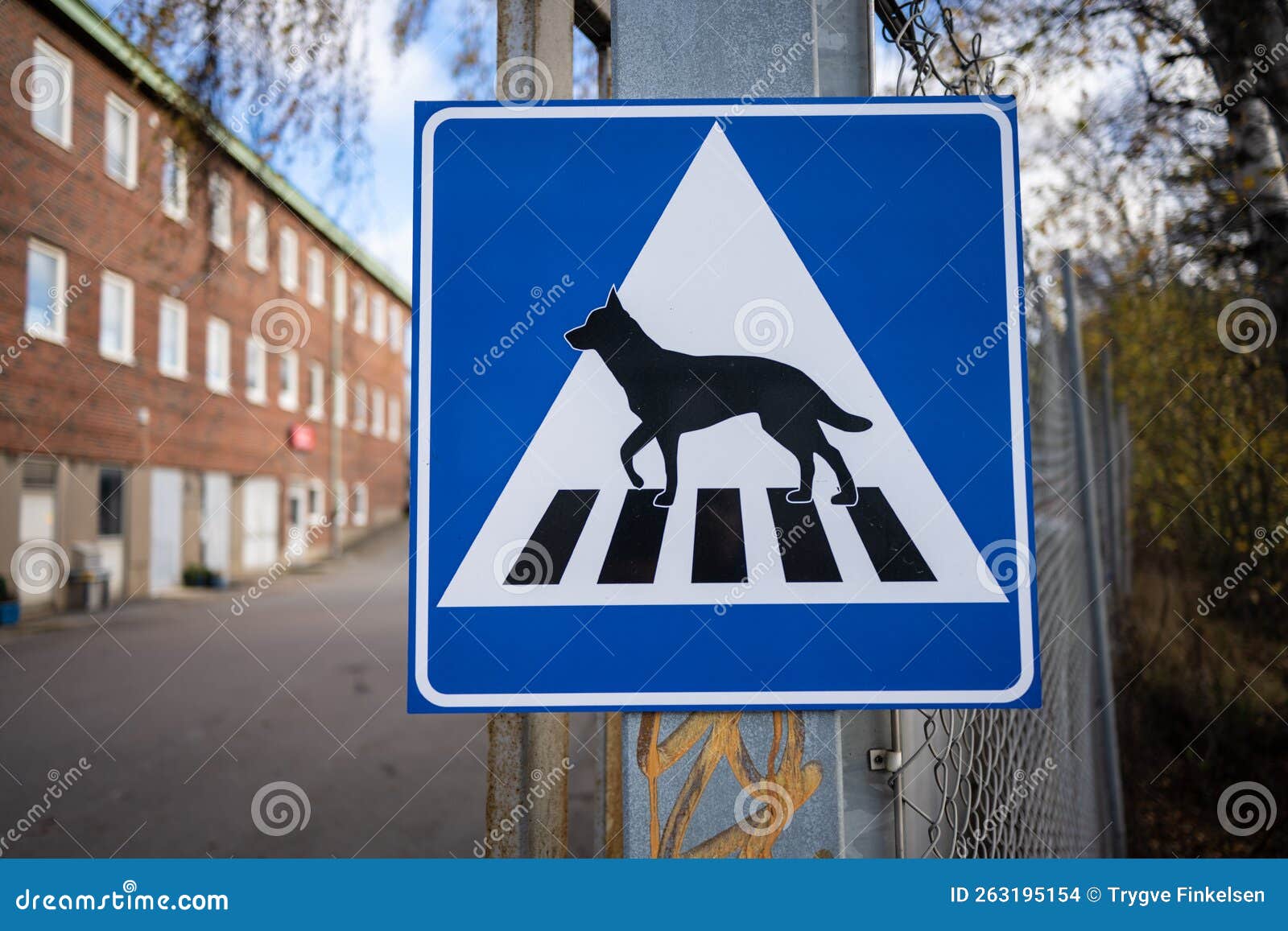 Custom Dog Crossing Sign on a Fence.. Stock Photo - Image of breed ...