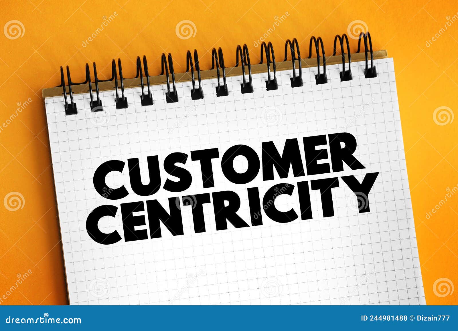 Customer Centricity - Ability of People in an Organization To ...