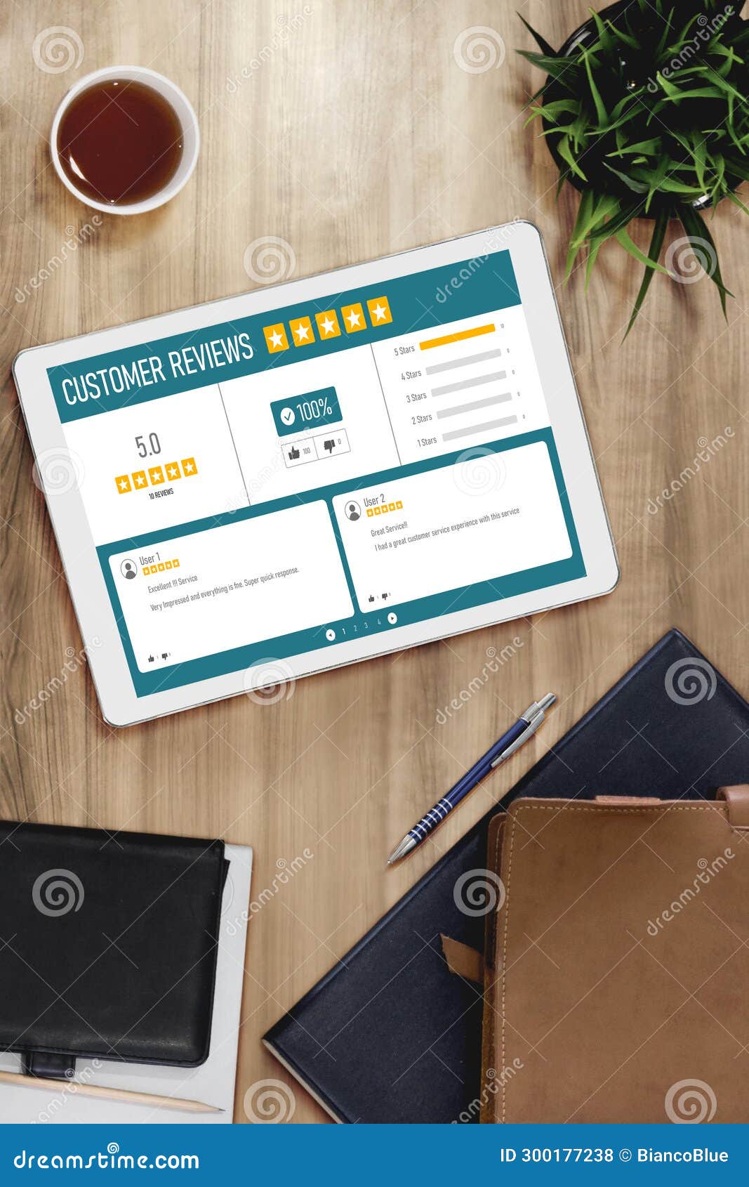 Customer Experience and Review Analysis by Modish Computer Software ...
