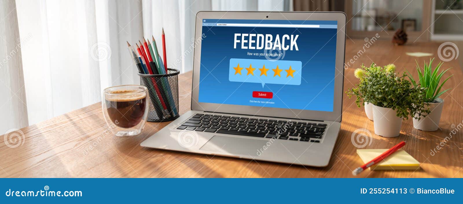 Customer Feedback and Review Analysis by Modish Computer Software Stock ...