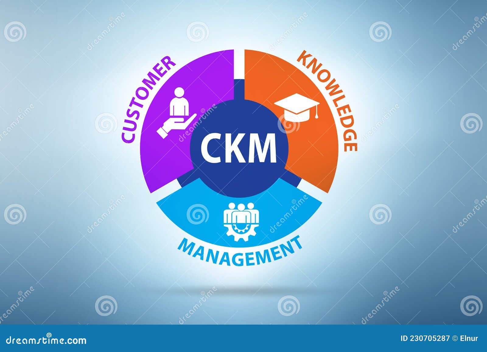 Customer Knowledge Management Business Concept Stock Illustration ...
