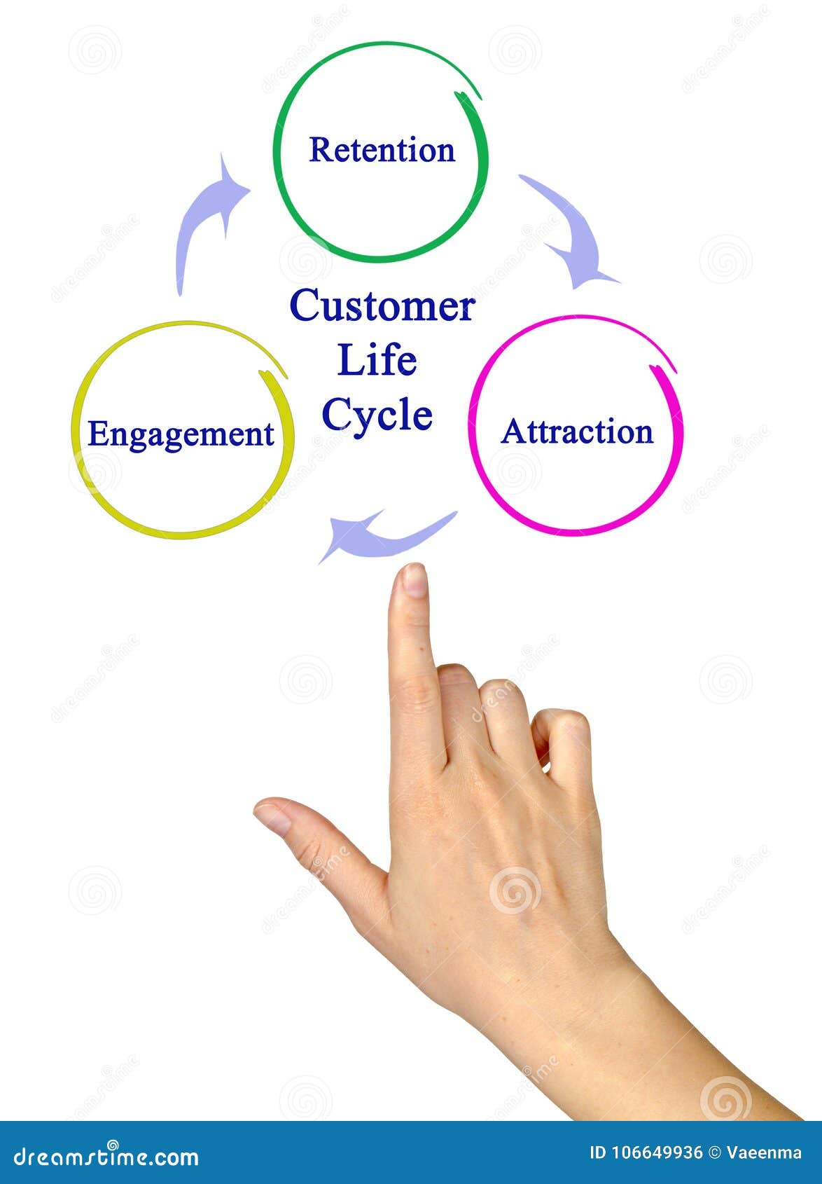 What Are The Five Stages Of Customer Life Cycle - Design Talk
