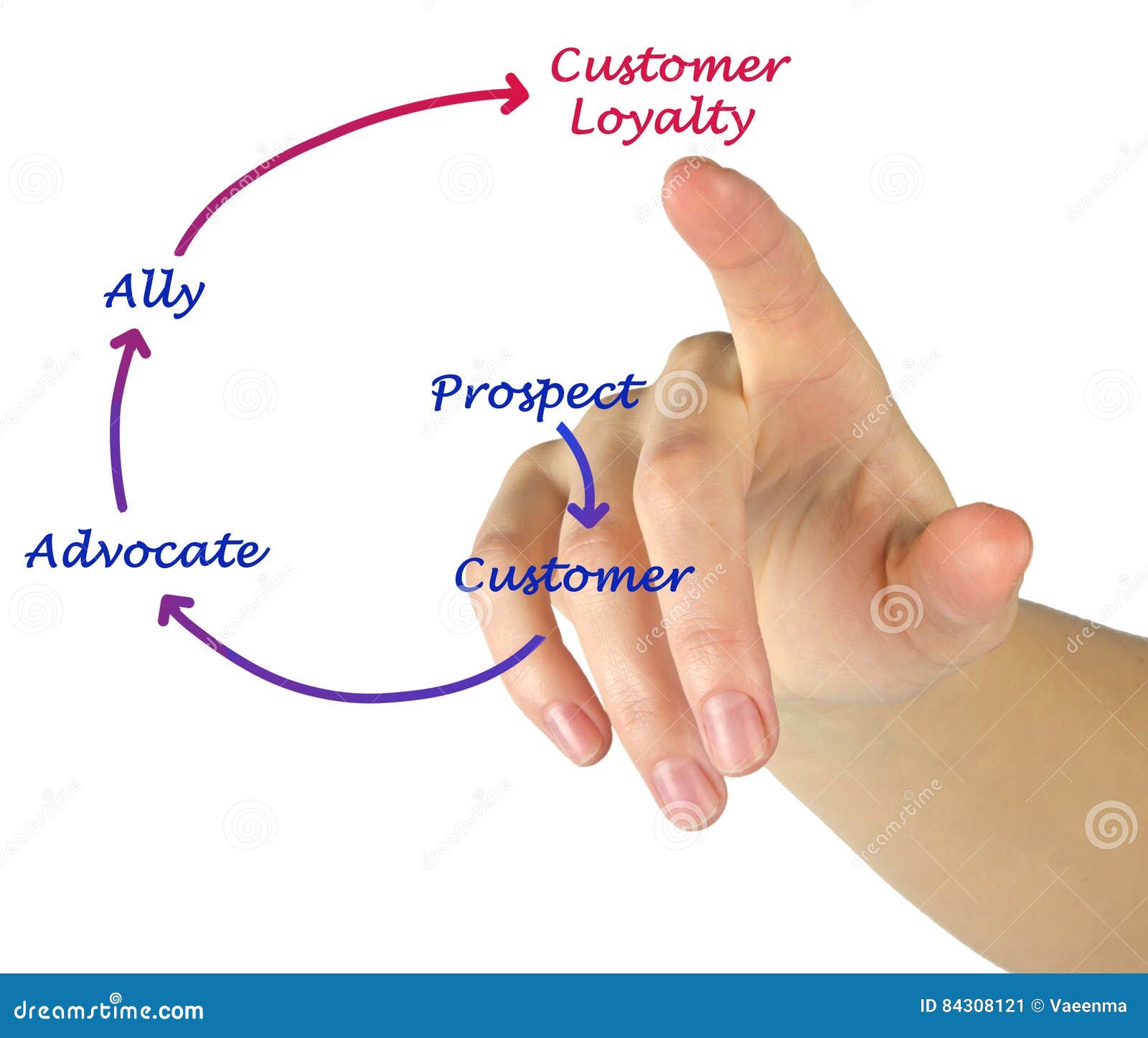 Diagram Of Customer Life Cycle Royalty-Free Stock Image | CartoonDealer ...