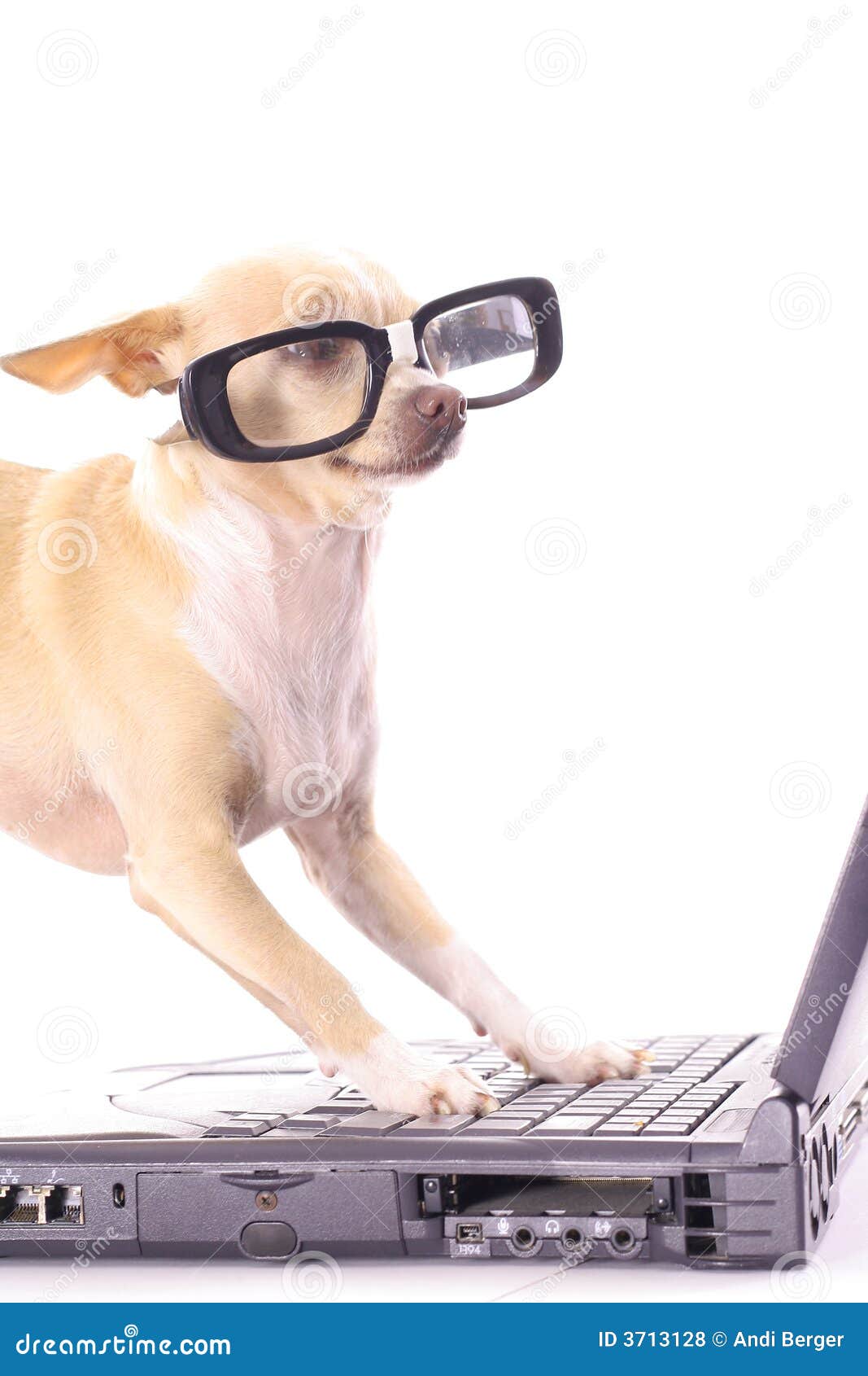 Customer service stock photo. Image of cuddly, perplexed - 3713128