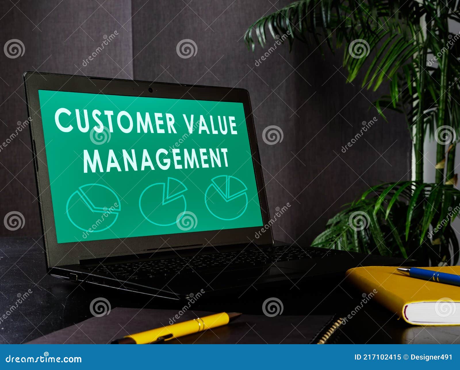 Customer Value Management CVM Info in Laptop. Stock Image - Image of ...