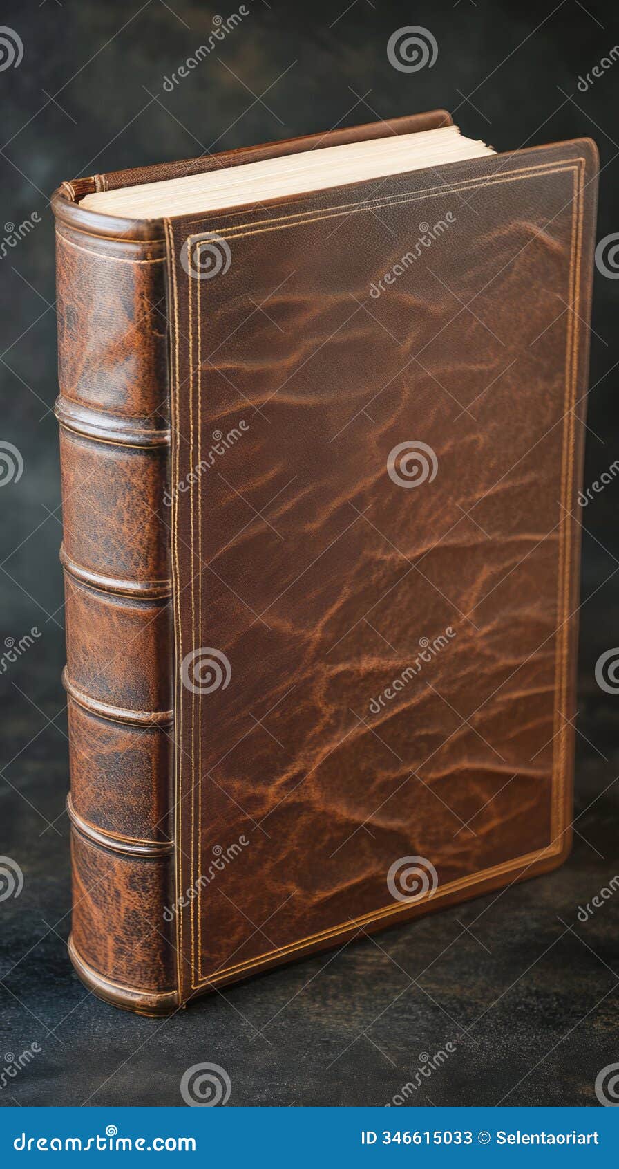 Customizable Albums and Frames for Personalized Displays Stock ...