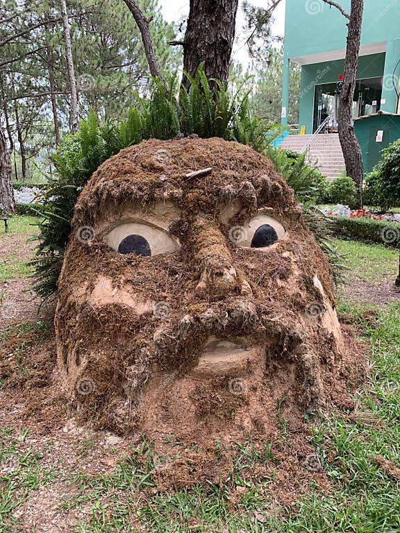 A Customized Human Face on the Ground. Stock Photo - Image of beatiful ...