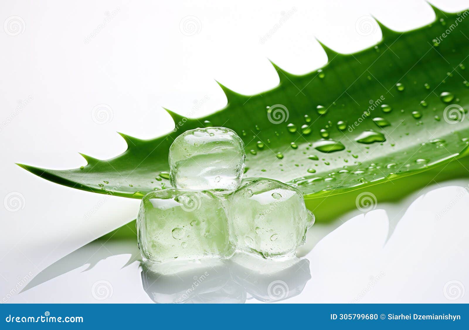 Cut Aloe Vera Gel Aloe Plants Cosmetic Stock Photo - Image of latex ...