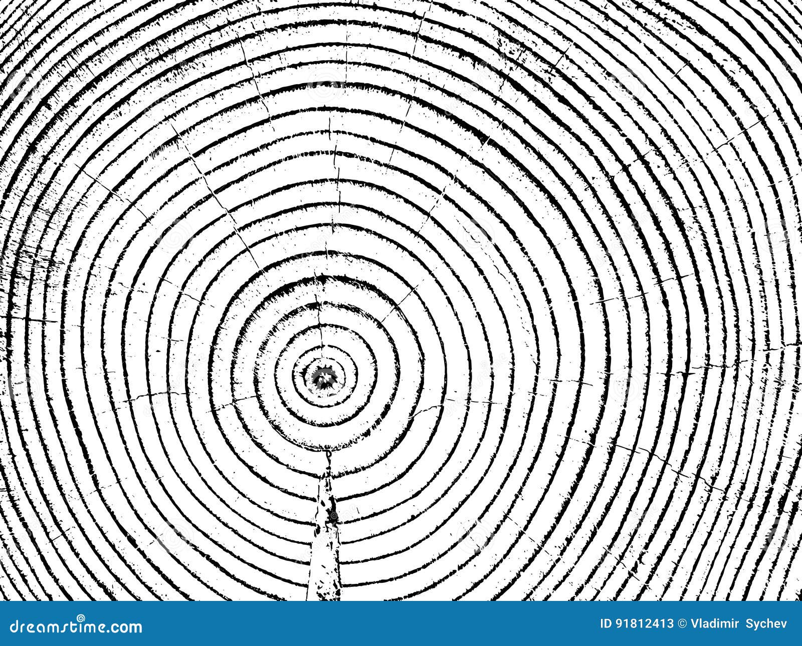 Cut annual rings stock illustration. Illustration of annual - 91812413