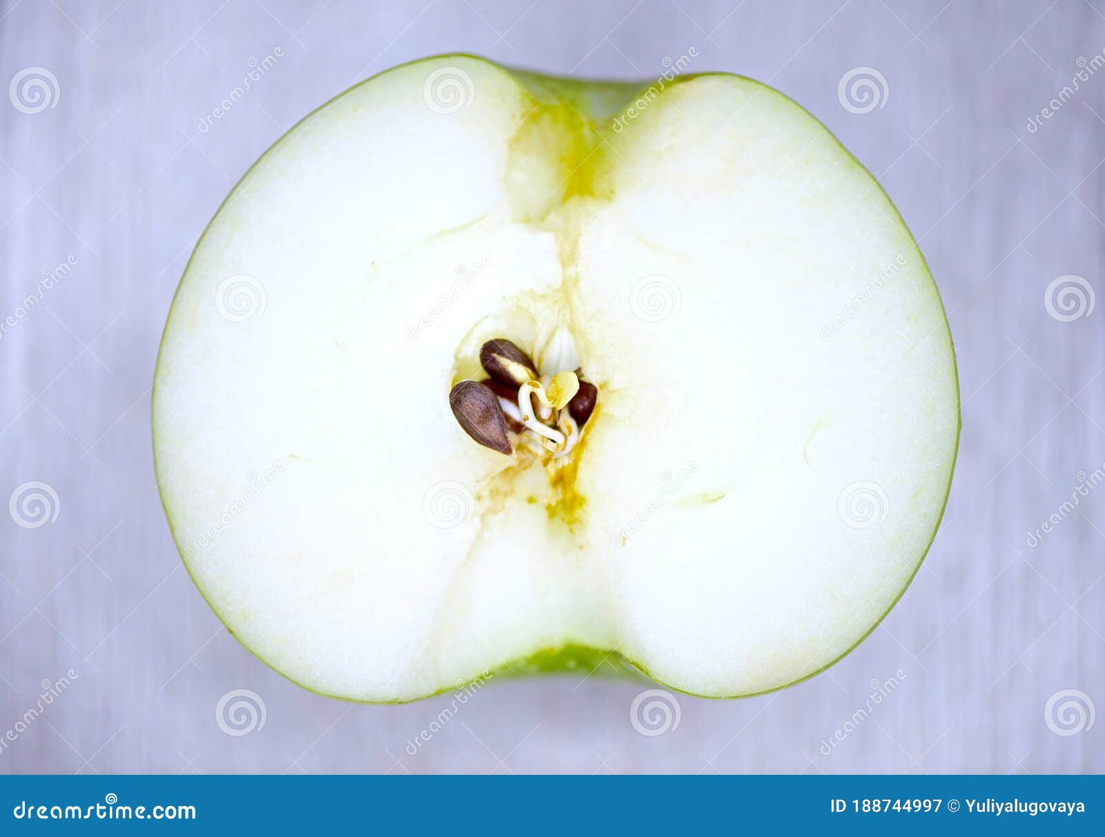 Cut Apple with Seeds Sprouted Inside Stock Image - Image of body ...