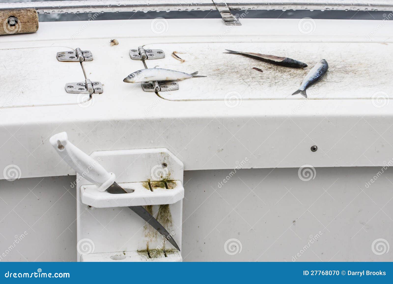 Cut Bait stock photo. Image of minnows, fins, tail, boat - 27768070