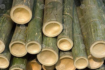 Cut Bambo stock image. Image of stalk, asian, detail, pole - 37655