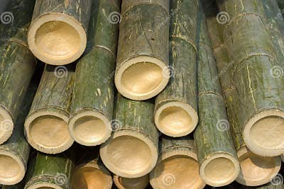 Cut Bambo stock image. Image of stalk, asian, detail, pole - 37655
