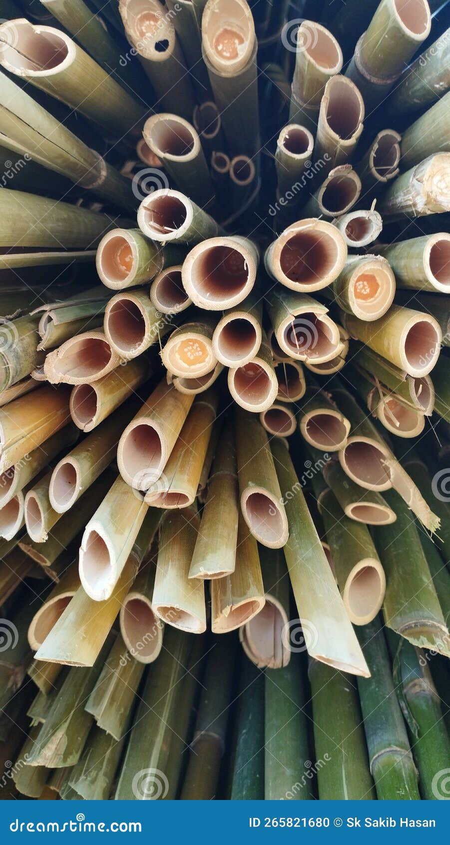 Cut Bamboo Stack Pattern Background Stock Photo - Image of reef ...