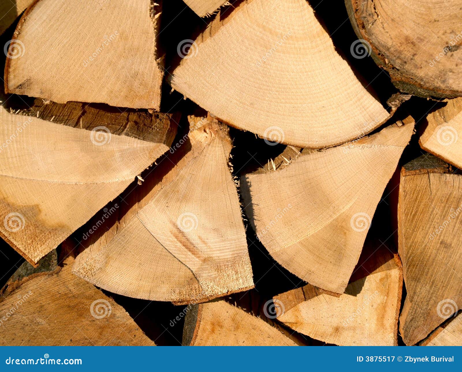 Cut beech wood stock image. Image of beech, texture, tree - 3875517