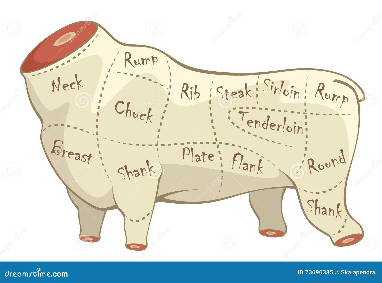 Lamb Anatomy Vector Illustration. Labeled Educational Inner Organ ...