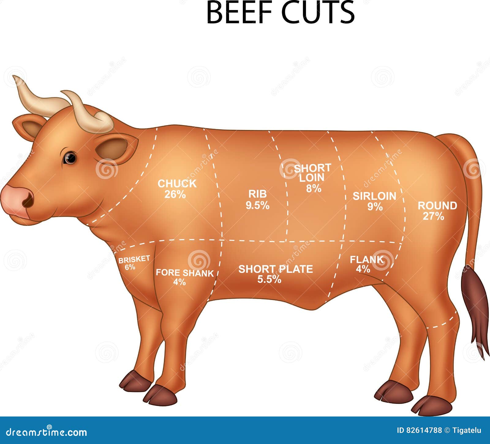 Cut of beef set stock vector. Illustration of chart, industry - 82614788