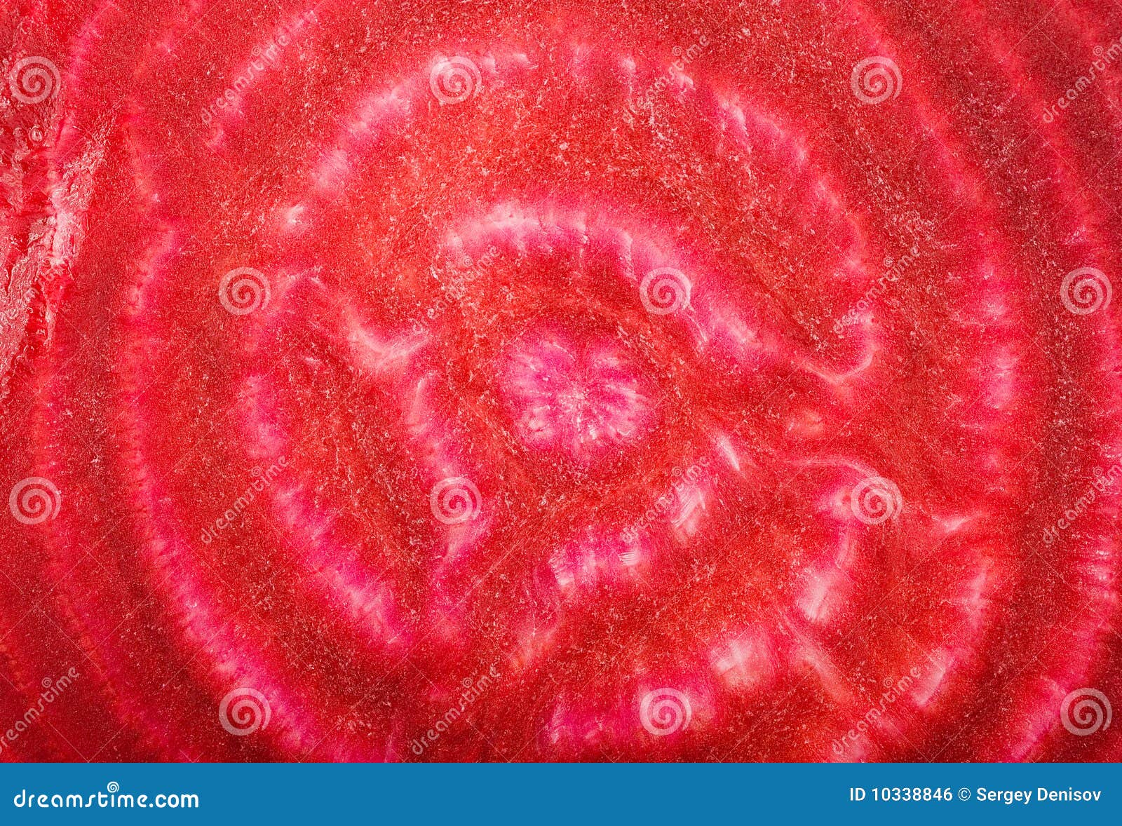 Cut beet stock photo. Image of pigment, vegetables, botanic - 10338846