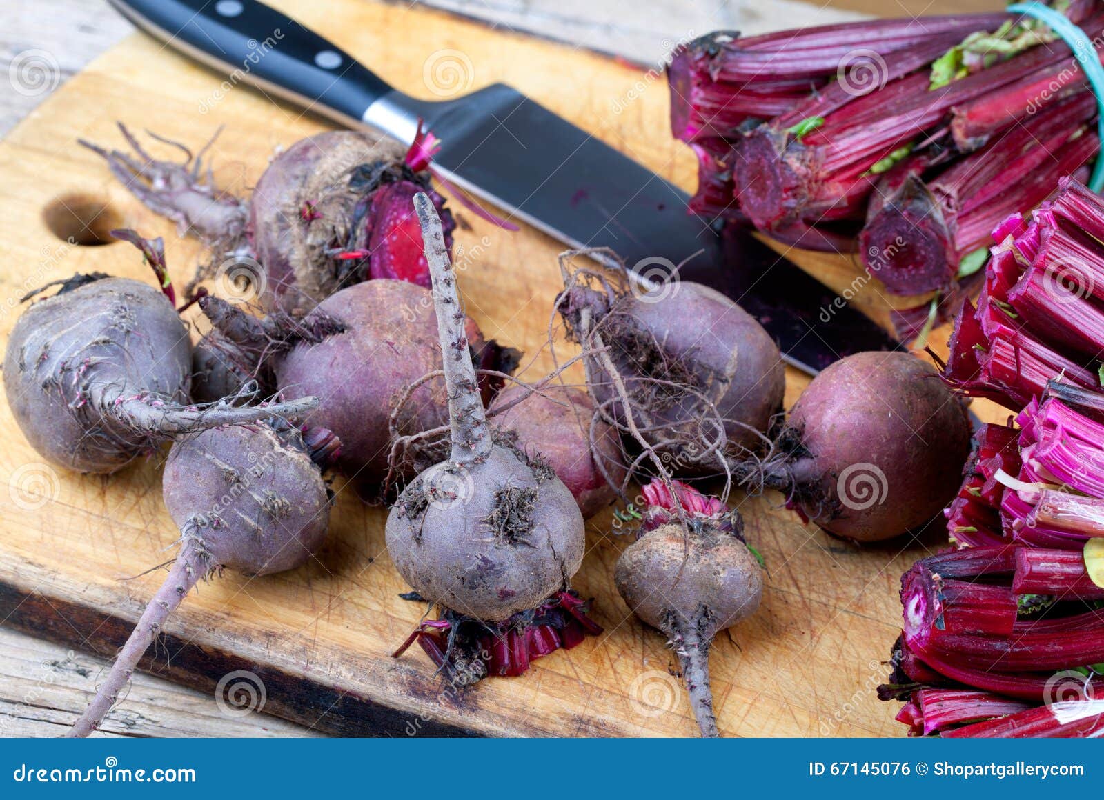 Cut Beetroots stock photo. Image of beet, purple, clean - 67145076