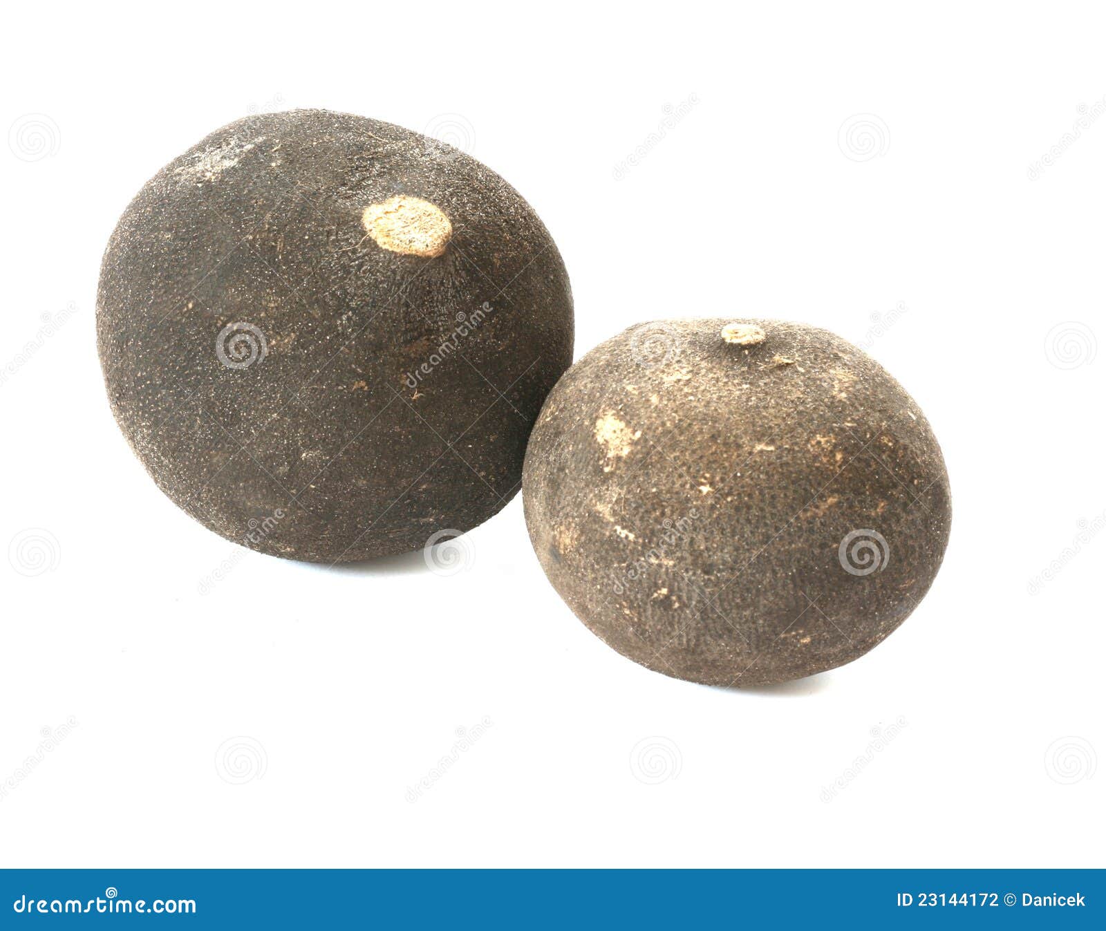 Cut black radish stock photo. Image of whole, close, radish - 23144172