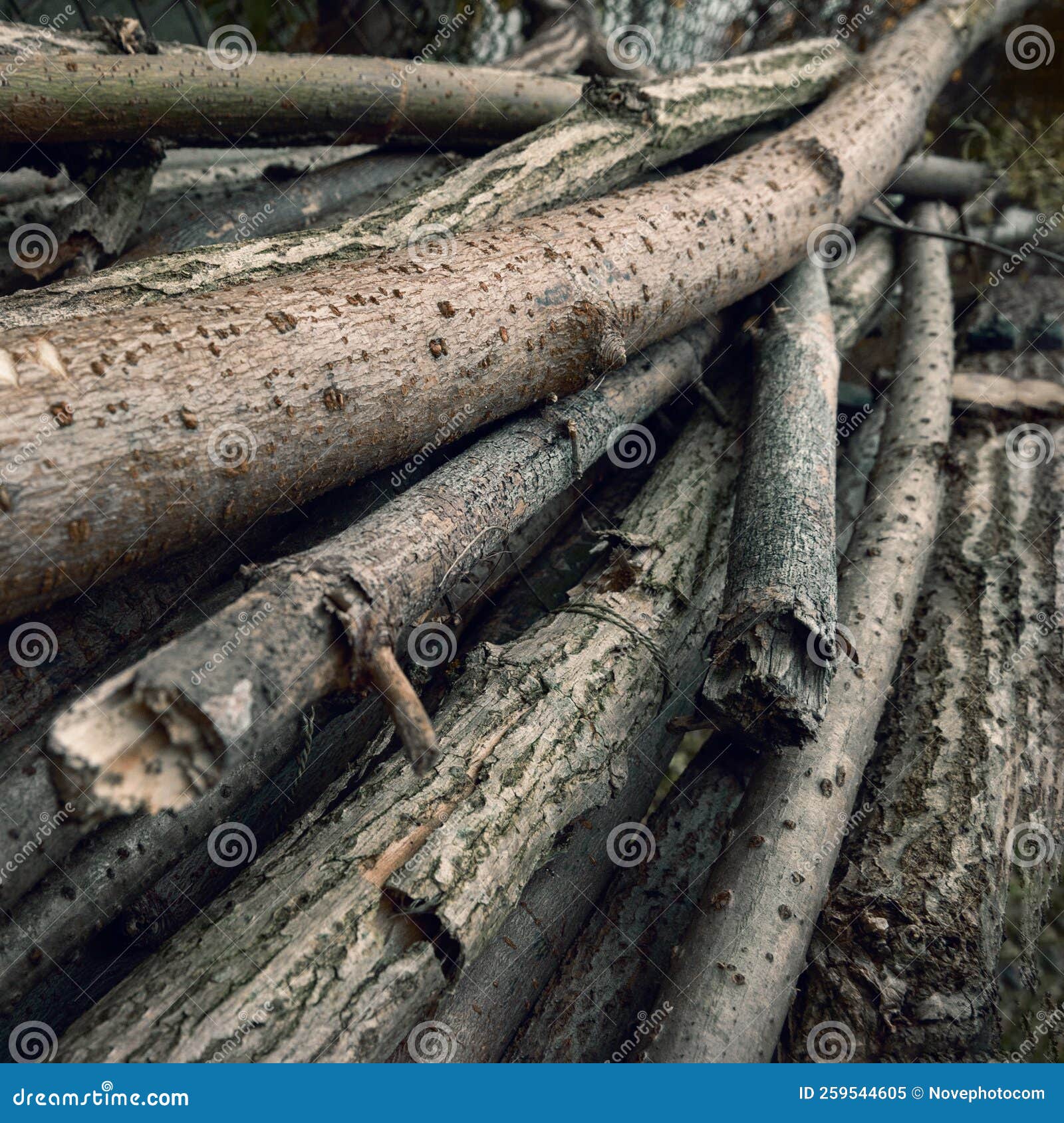 Cut Branches. Stack Of Branches. Firewood For A Fire. A Bunch Of Wood ...