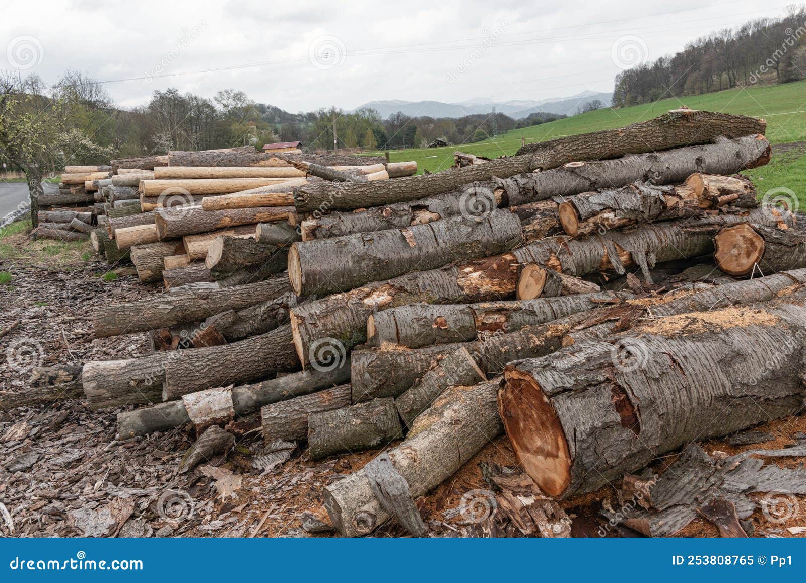 Cut Branches Stack Pile Heap Mound Wood Stock Image - Image of stack ...