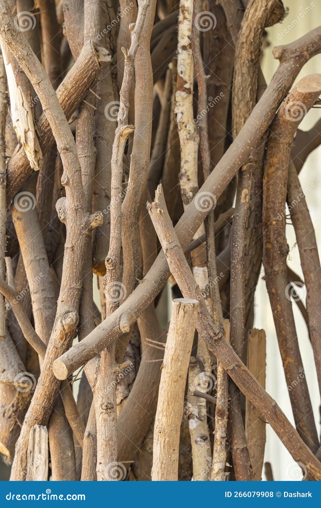 Cut Branches of a Tree Stacked in Pile Stock Photo - Image of outdoor ...