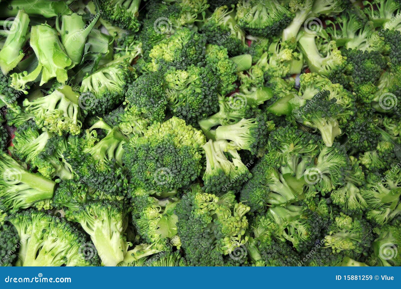 Cut Broccoli stock image. Image of horizontal, floral - 15881259