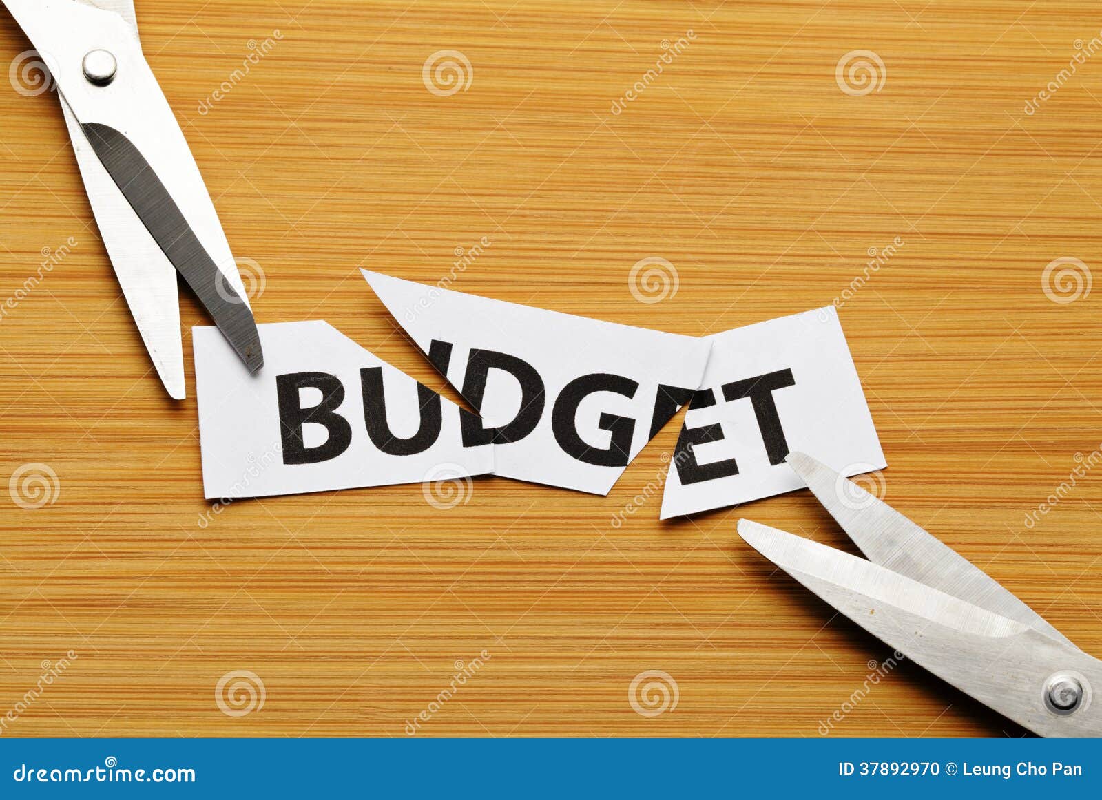 Cut budget stock photo. Image of investment, concept - 37892970