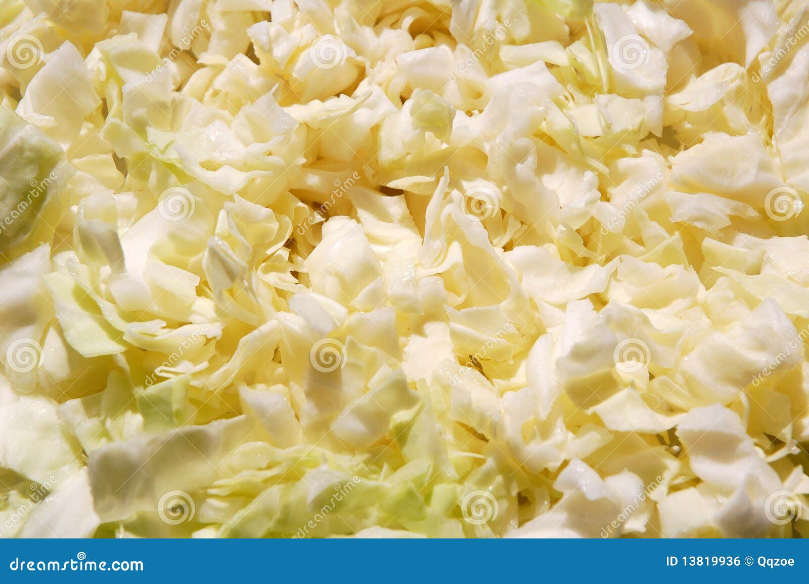 Cut cabbage stock photo. Image of vitamin, kitchen, macro - 13819936