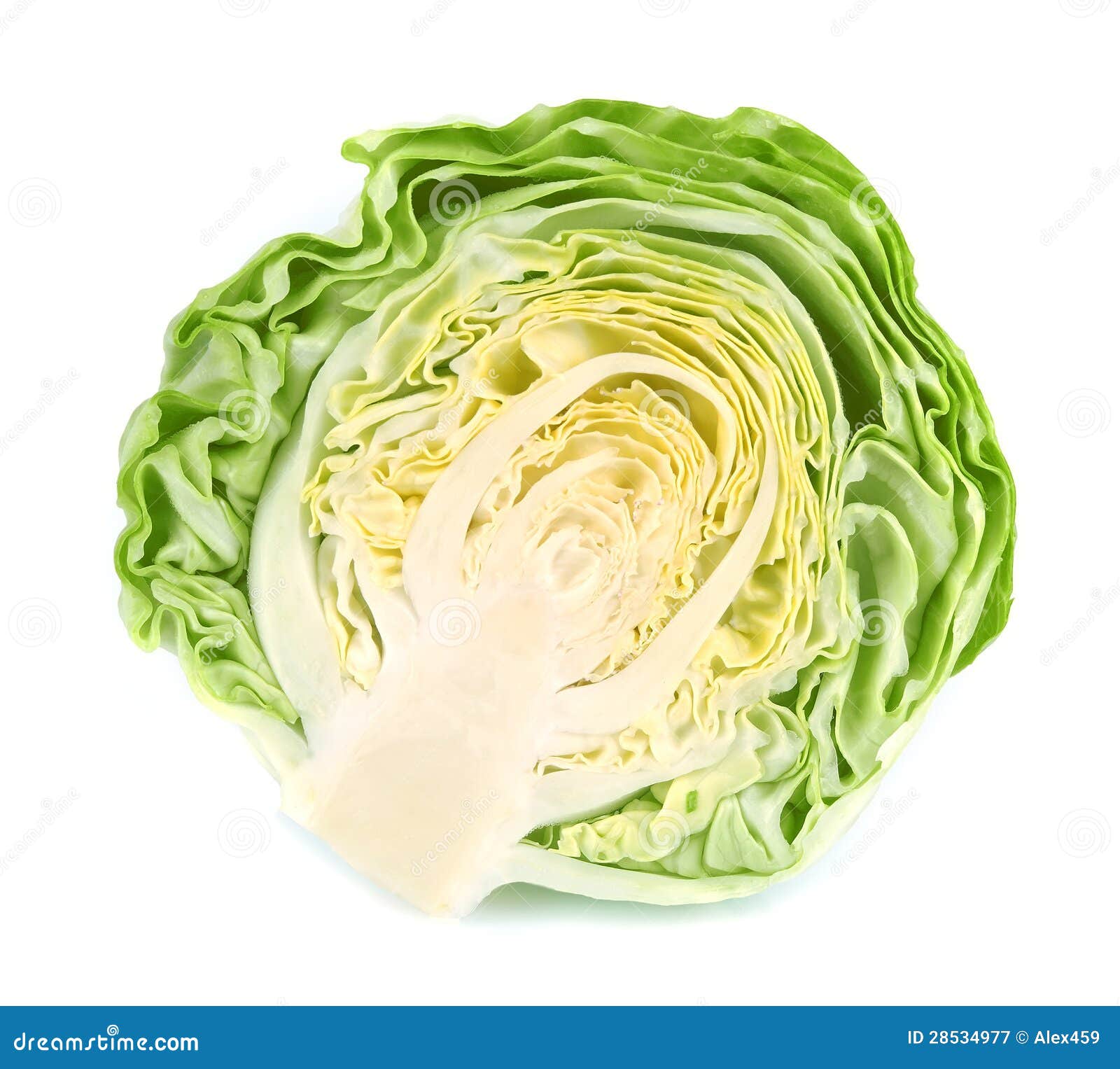 Cut cabbage stock image. Image of green, food, salad - 28534977