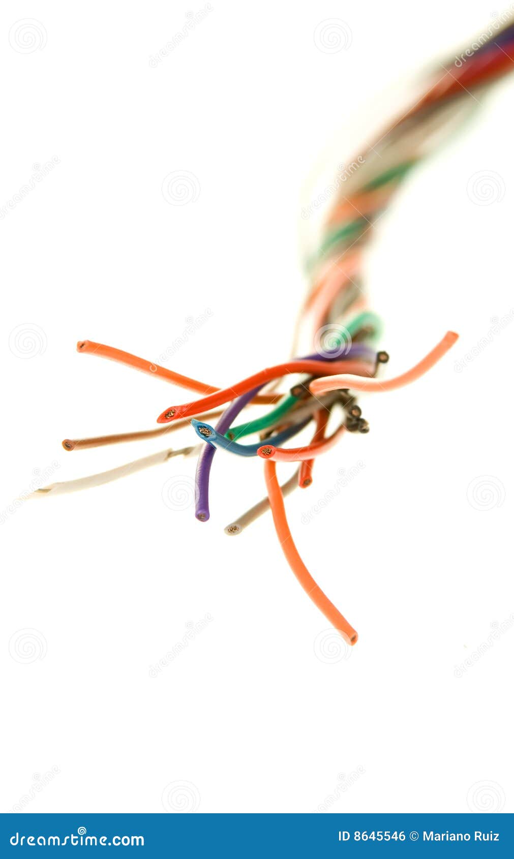 Cut Cable stock photo. Image of copper, connect, connection - 8645546