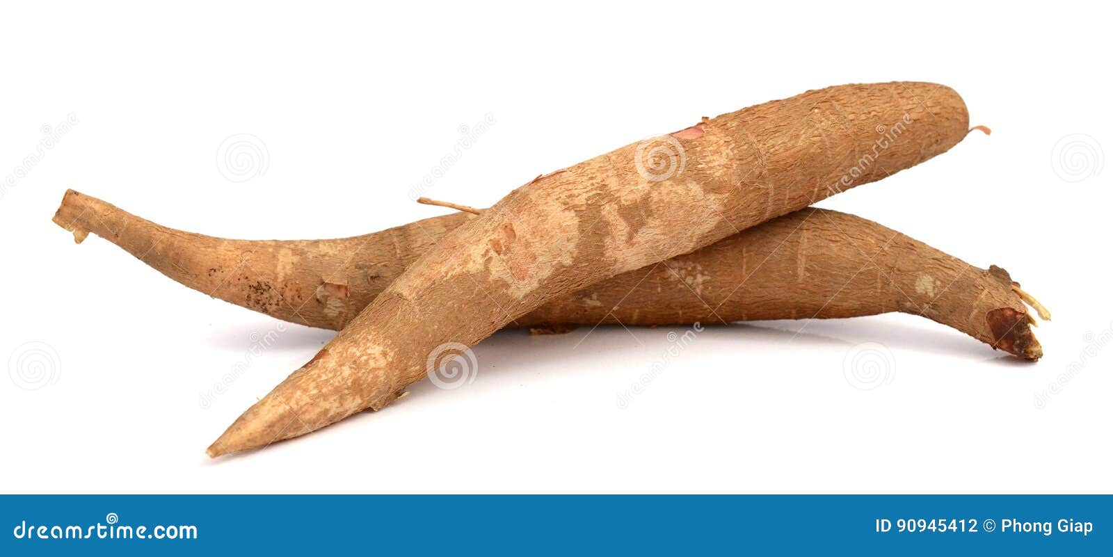 Cut cassava root stock photo. Image of ancient, food - 90945412