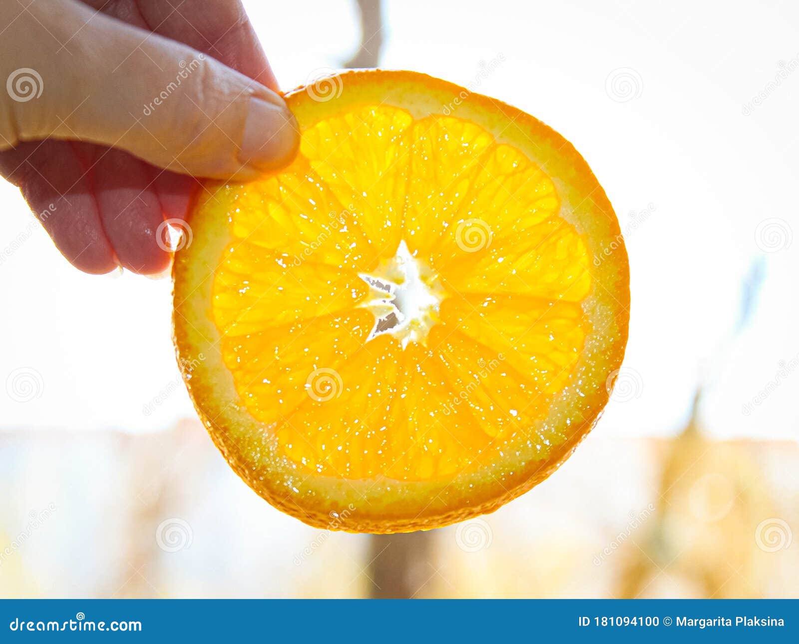 A Cut Circle of Orange, Which is Held by the Hand at the Lumen Stock ...