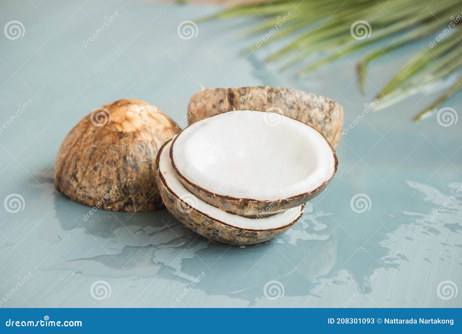 Four Coconut Halves and Coconut Leaves Stock Image - Image of halves ...