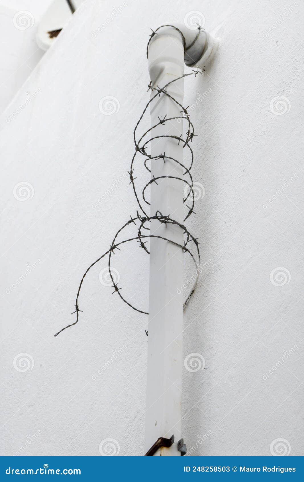 Coiled barb wire on a pipe stock image. Image of barrier - 248258503