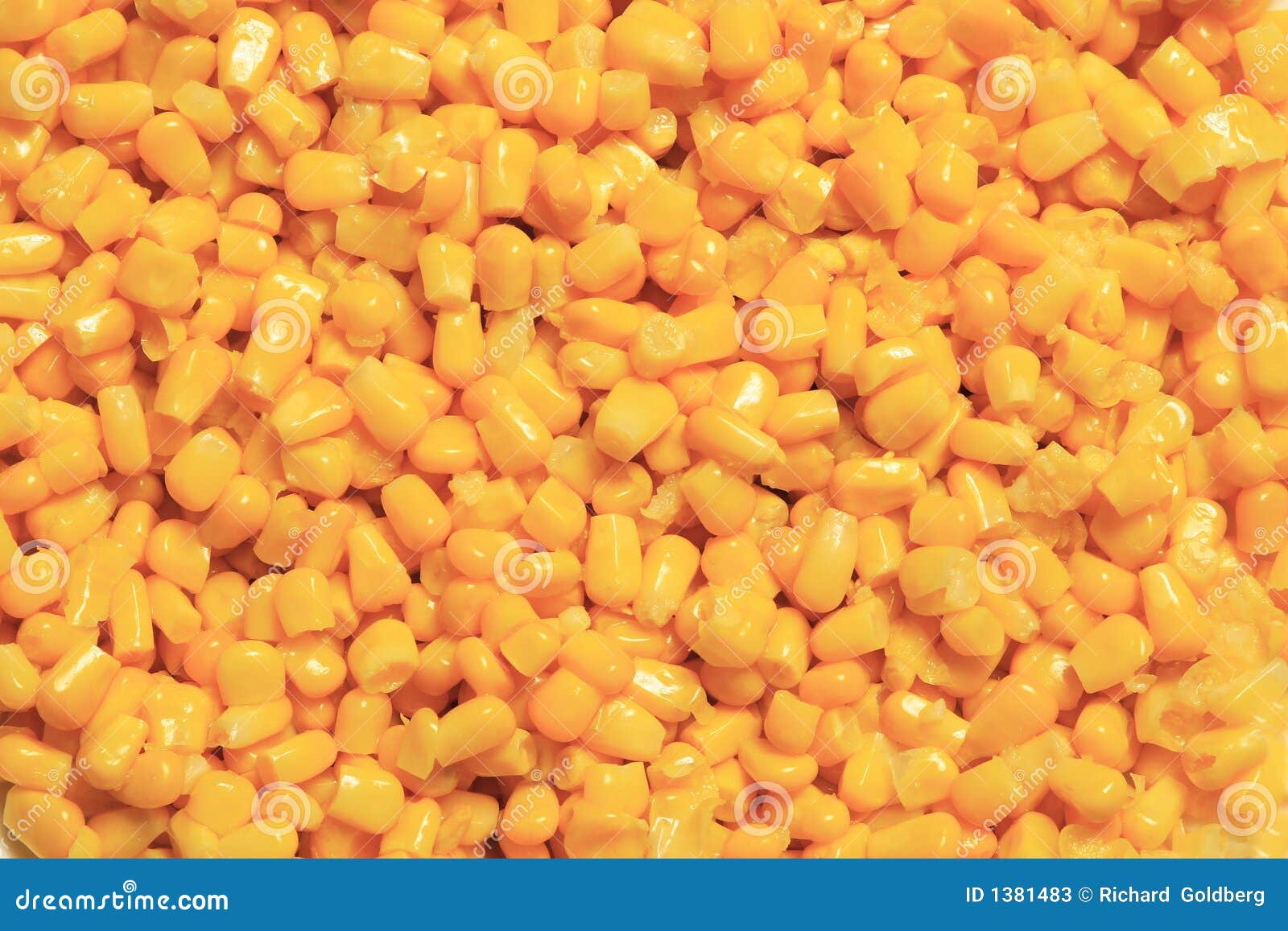 Cut Corn stock image. Image of nutrition, husk, kernel - 1381483