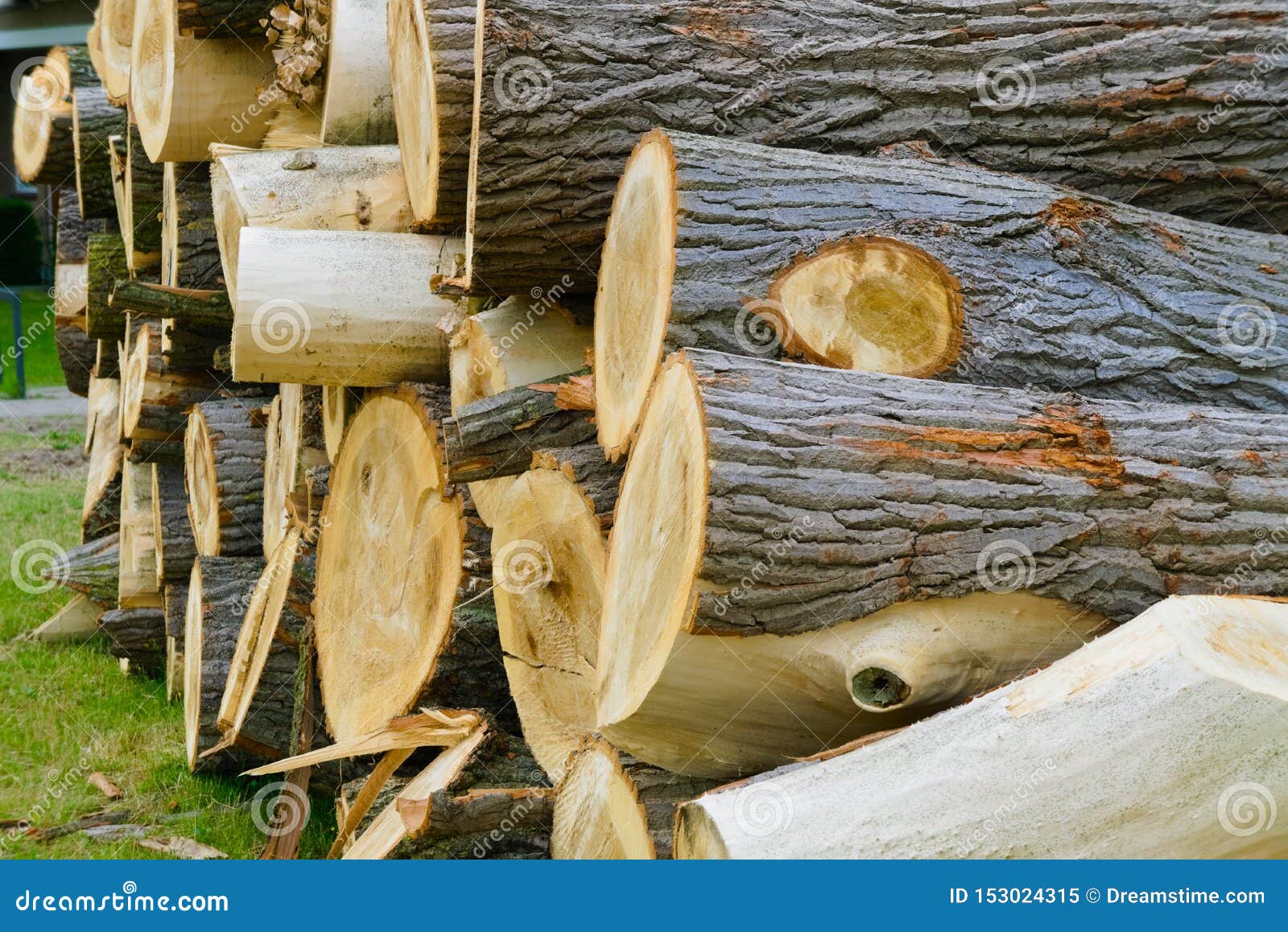 Cut Down Lumber Stacked On Each Other Stock Photography | CartoonDealer ...
