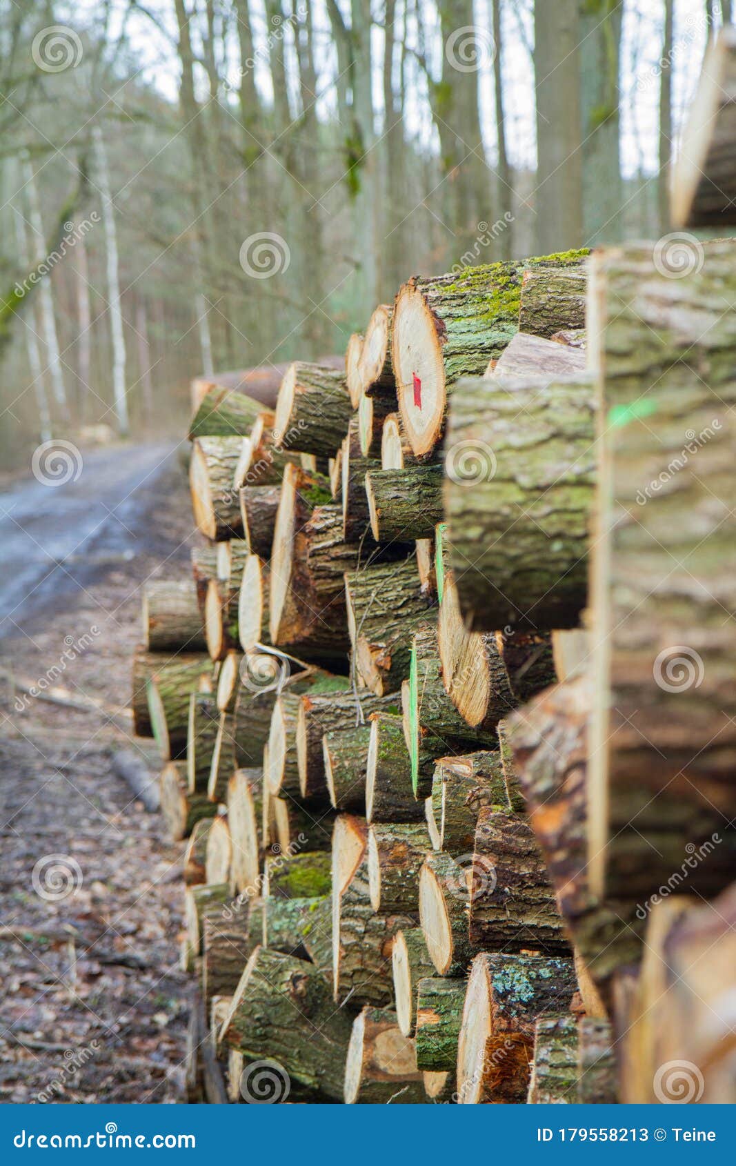 Cut Down Tree Trunks on a Pile Stock Image - Image of manufacturing ...